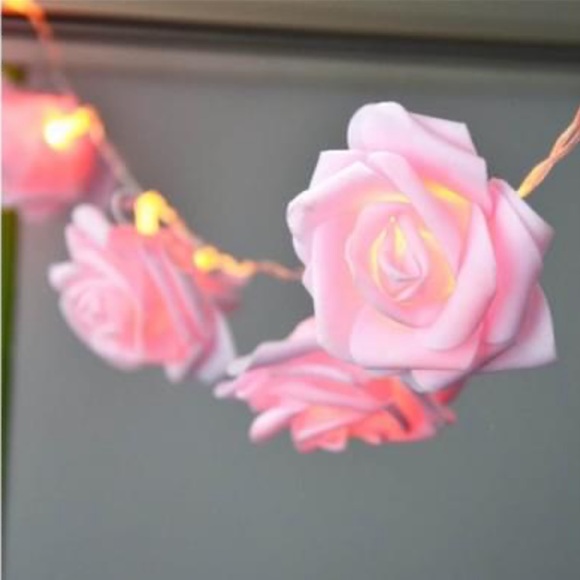 Holiday | New Trendy Hot Pink Roses String Lights | Poshmark